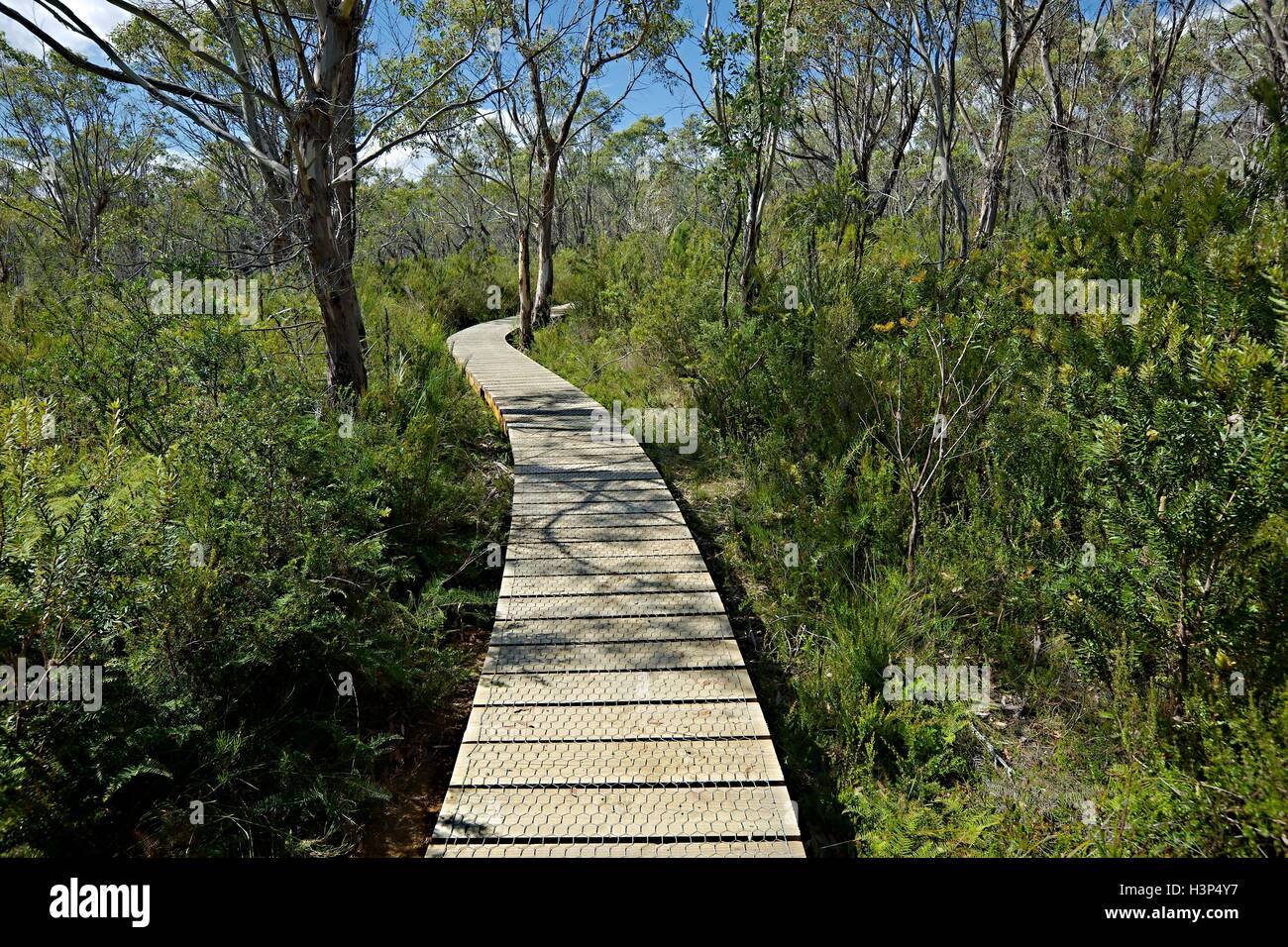 Walking track with wooden board Stock Photo - Alamy