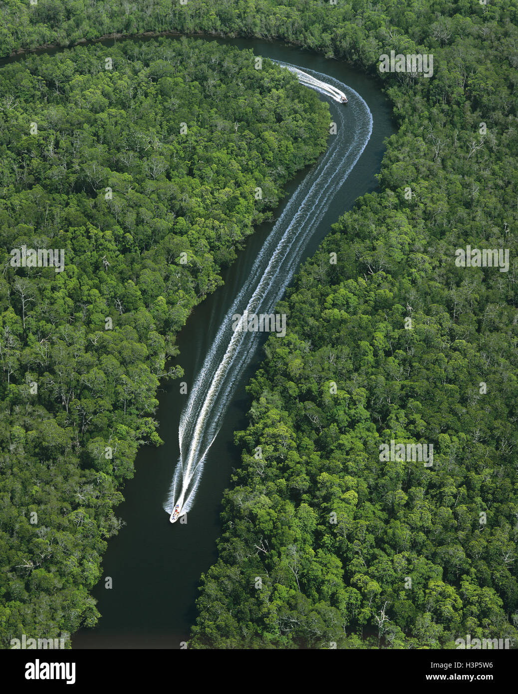 Mangroves dense hi-res stock photography and images - Alamy