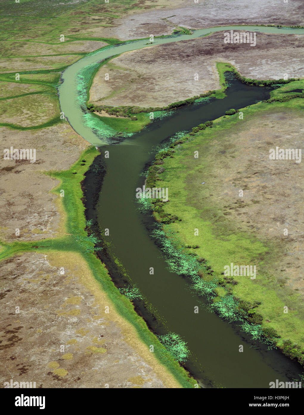Mary river wetlands hi-res stock photography and images - Alamy