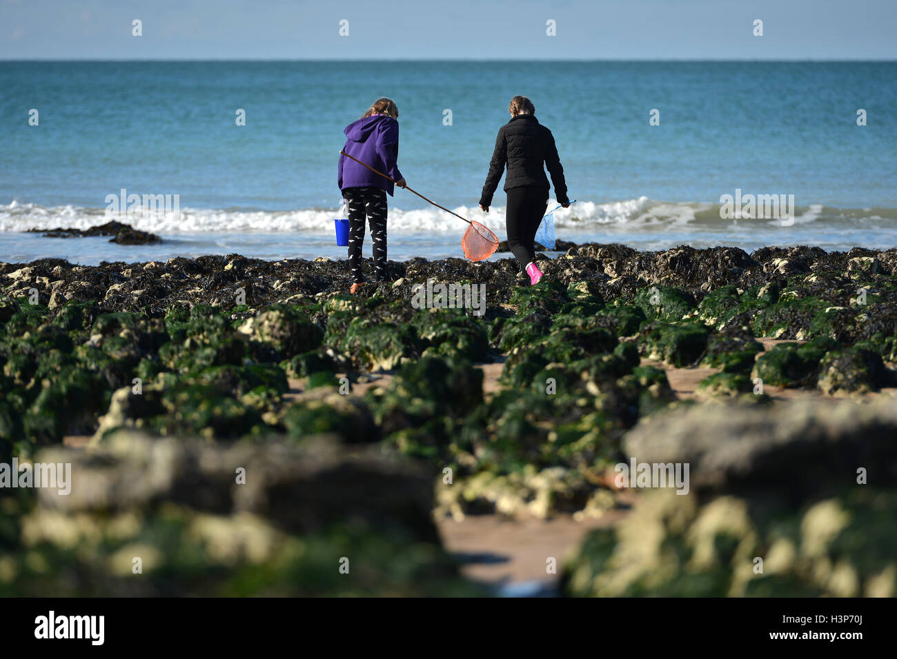 Rock pooling family hi-res stock photography and images - Alamy