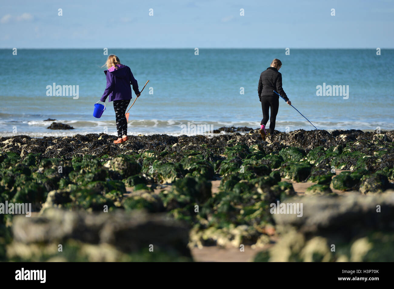 Rock Pooling Children High Resolution Stock Photography and Images - Alamy