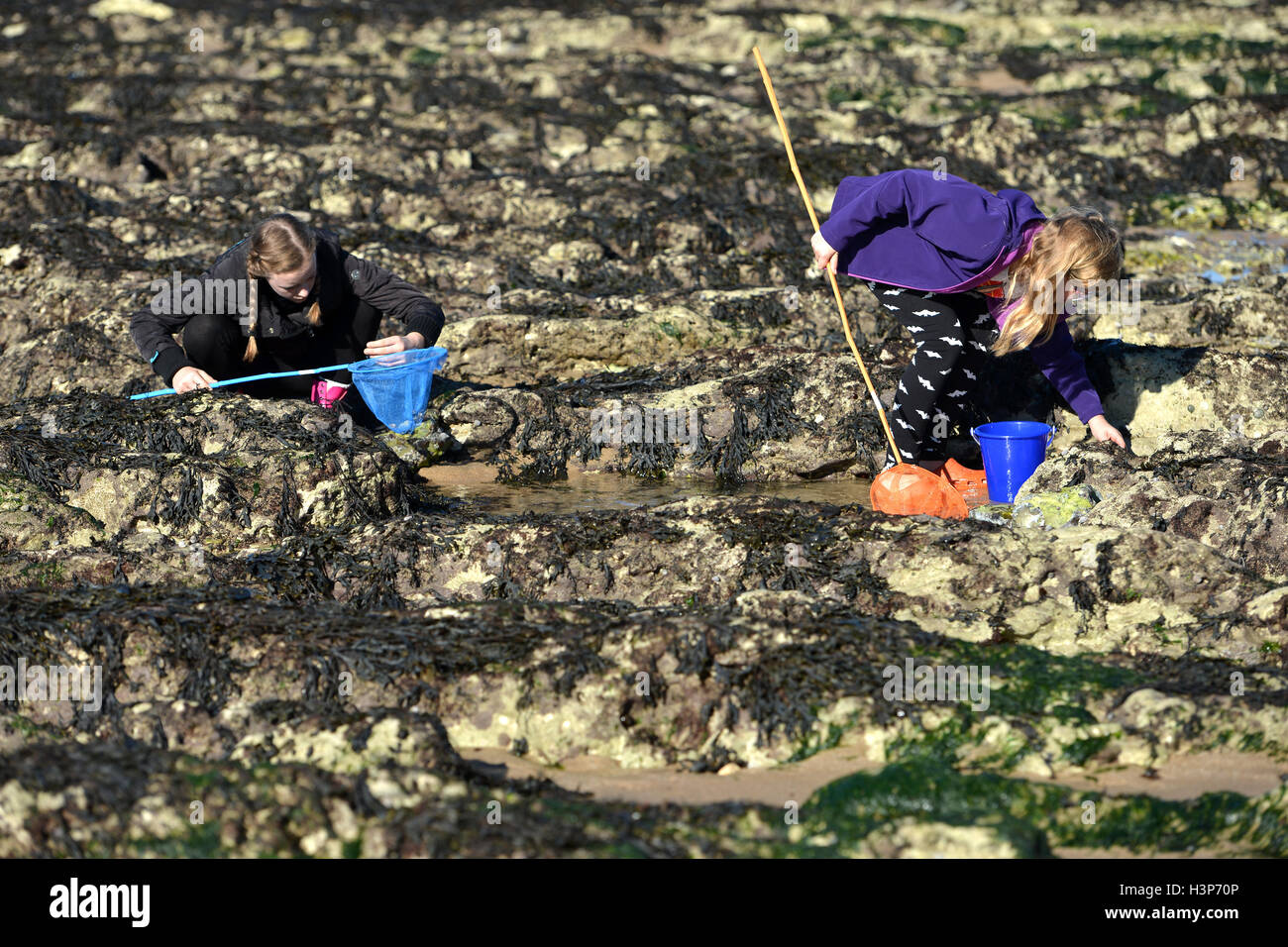 Rock Pooling Children High Resolution Stock Photography and Images - Alamy