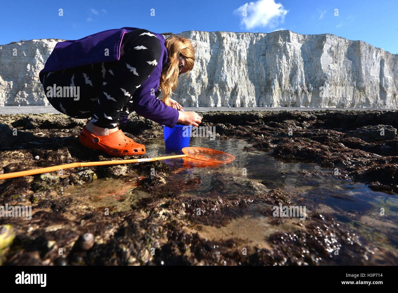Rock Pooling Children High Resolution Stock Photography and Images - Alamy