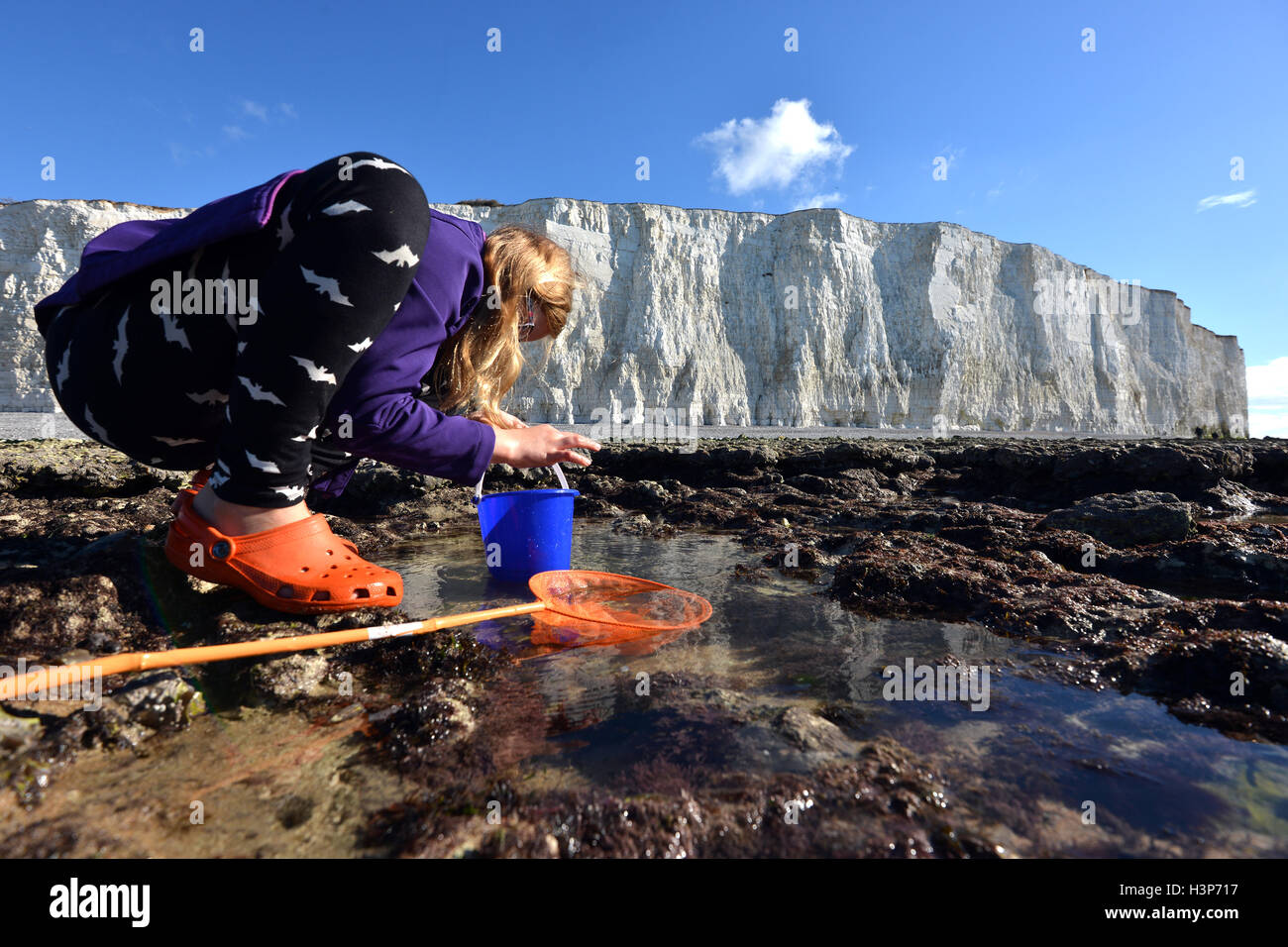 Mini pools hi-res stock photography and images - Alamy