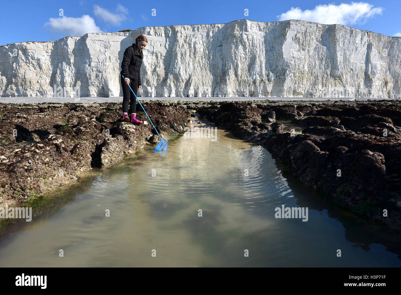 Family rockpooling hi-res stock photography and images - Alamy