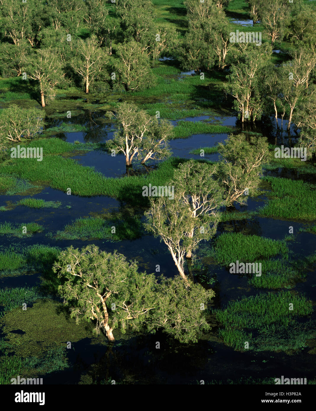 Magela hi-res stock photography and images - Alamy