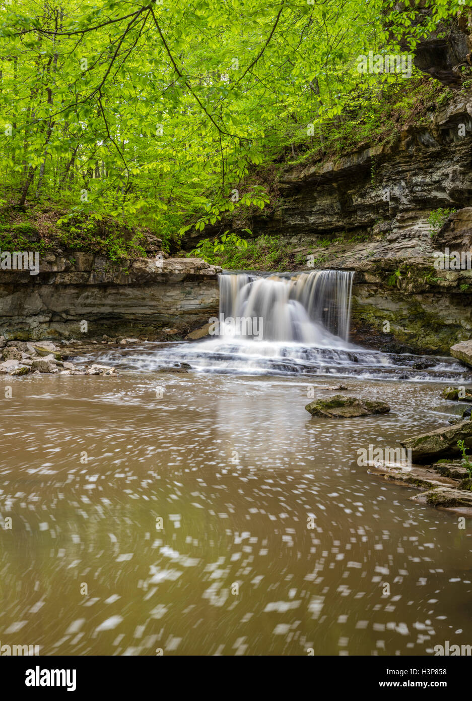 McCormick's Creek State Park, Indiana: McCormick's Creek falls in early ...
