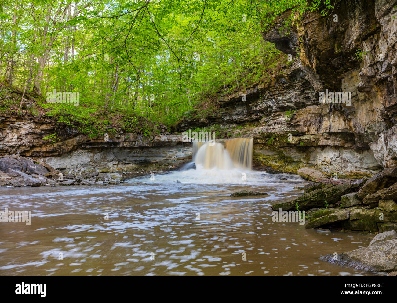 McCormick's Creek State Park, Indiana: McCormick's Creek falls in early ...