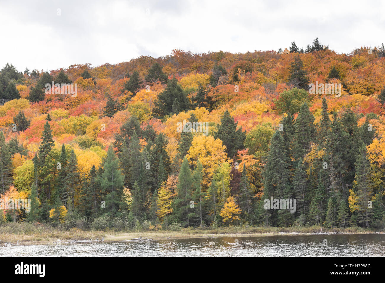 Algonquin Provincial Park in the fall season Stock Photo - Alamy