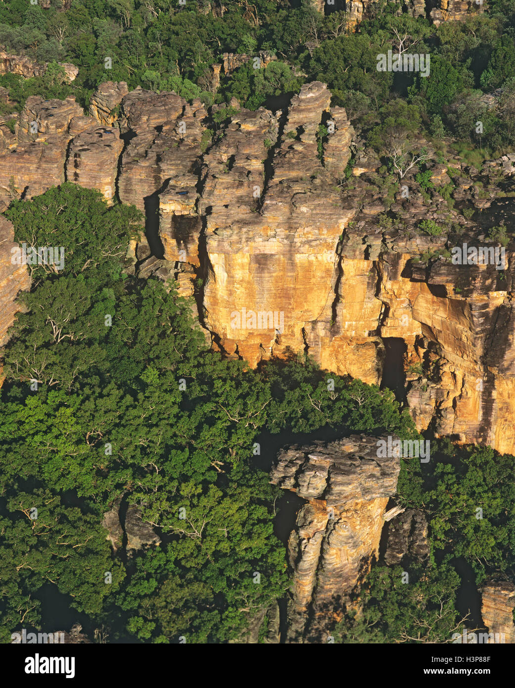 Brockman hi-res stock photography and images - Alamy