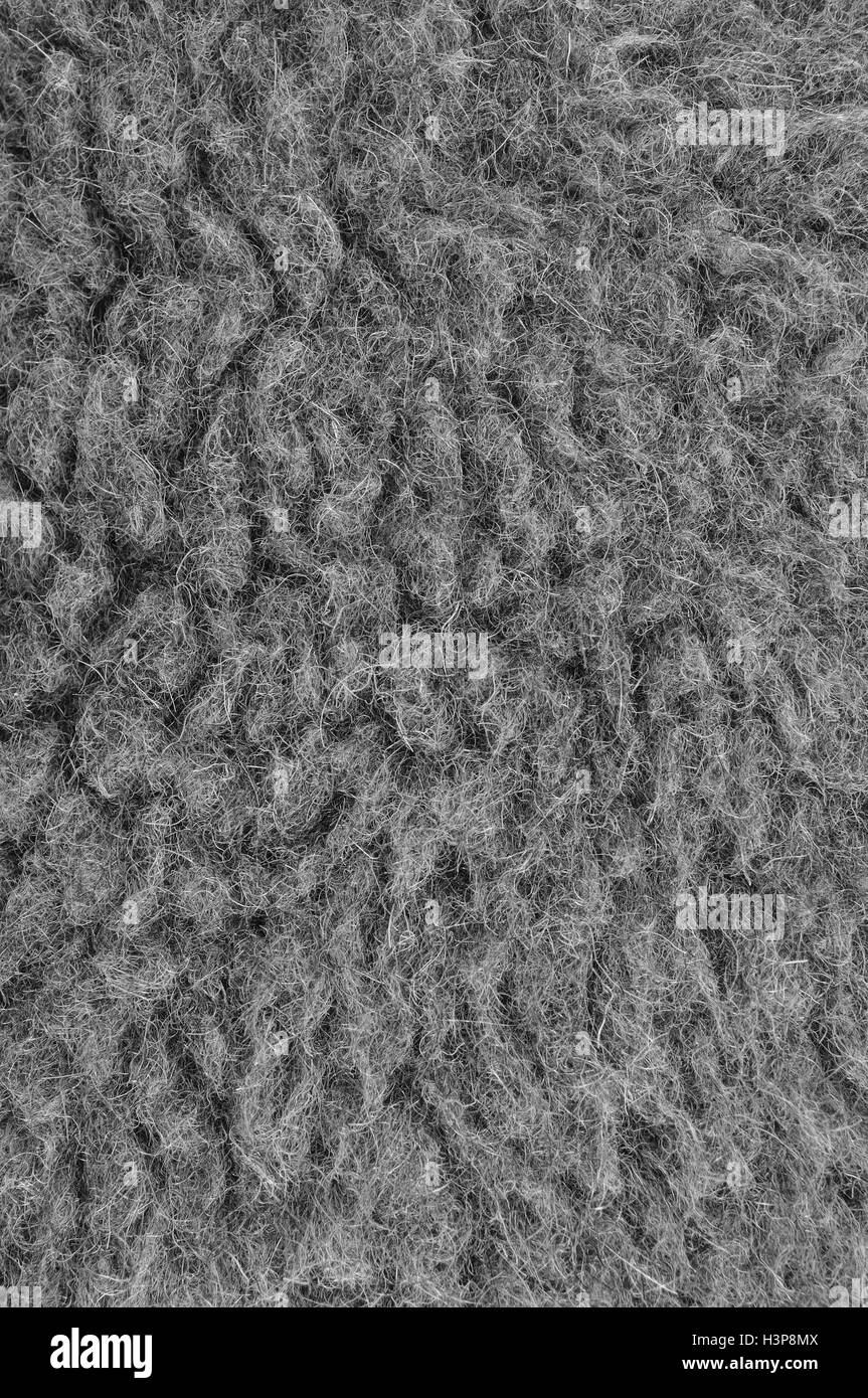 Raw Merino Sheep Wool Macro Closeup, Large Detailed Grey Textured ...