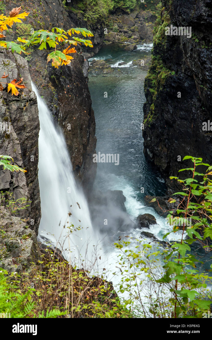 Elk Falls - Elk Falls Provincial Park and Protected Area - Campbell ...