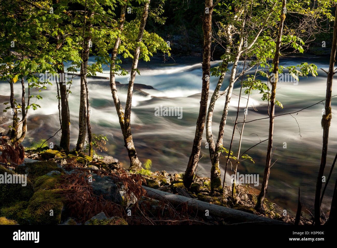 Stamp falls provincial park hi-res stock photography and images - Alamy