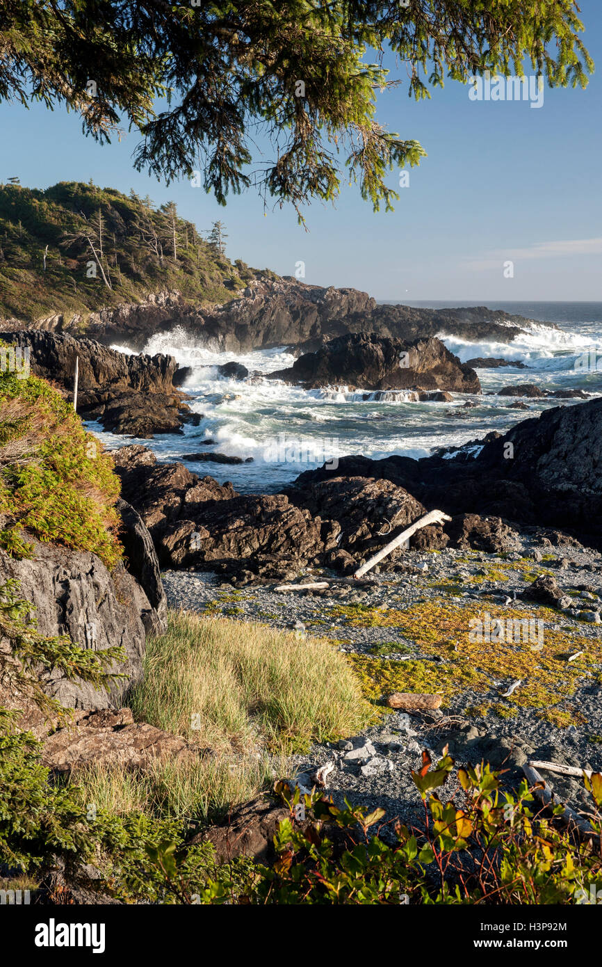 Rocky headlands hi-res stock photography and images - Alamy
