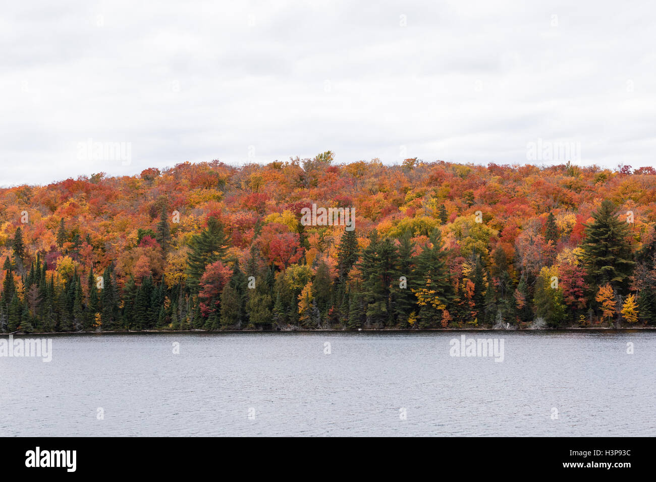 Algonquin Provincial Park in the fall season Stock Photo - Alamy