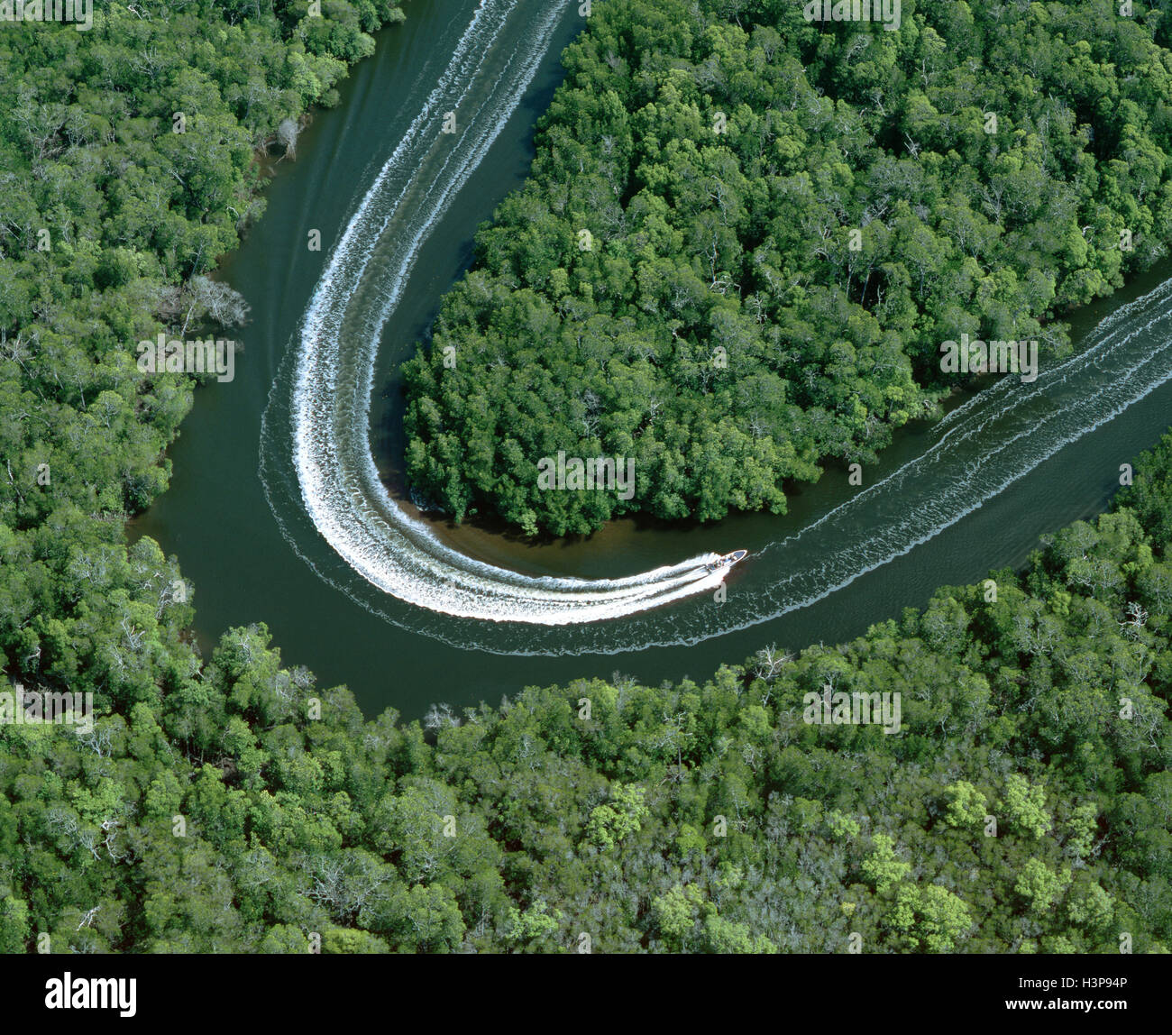 Mangrove channel hi-res stock photography and images - Alamy