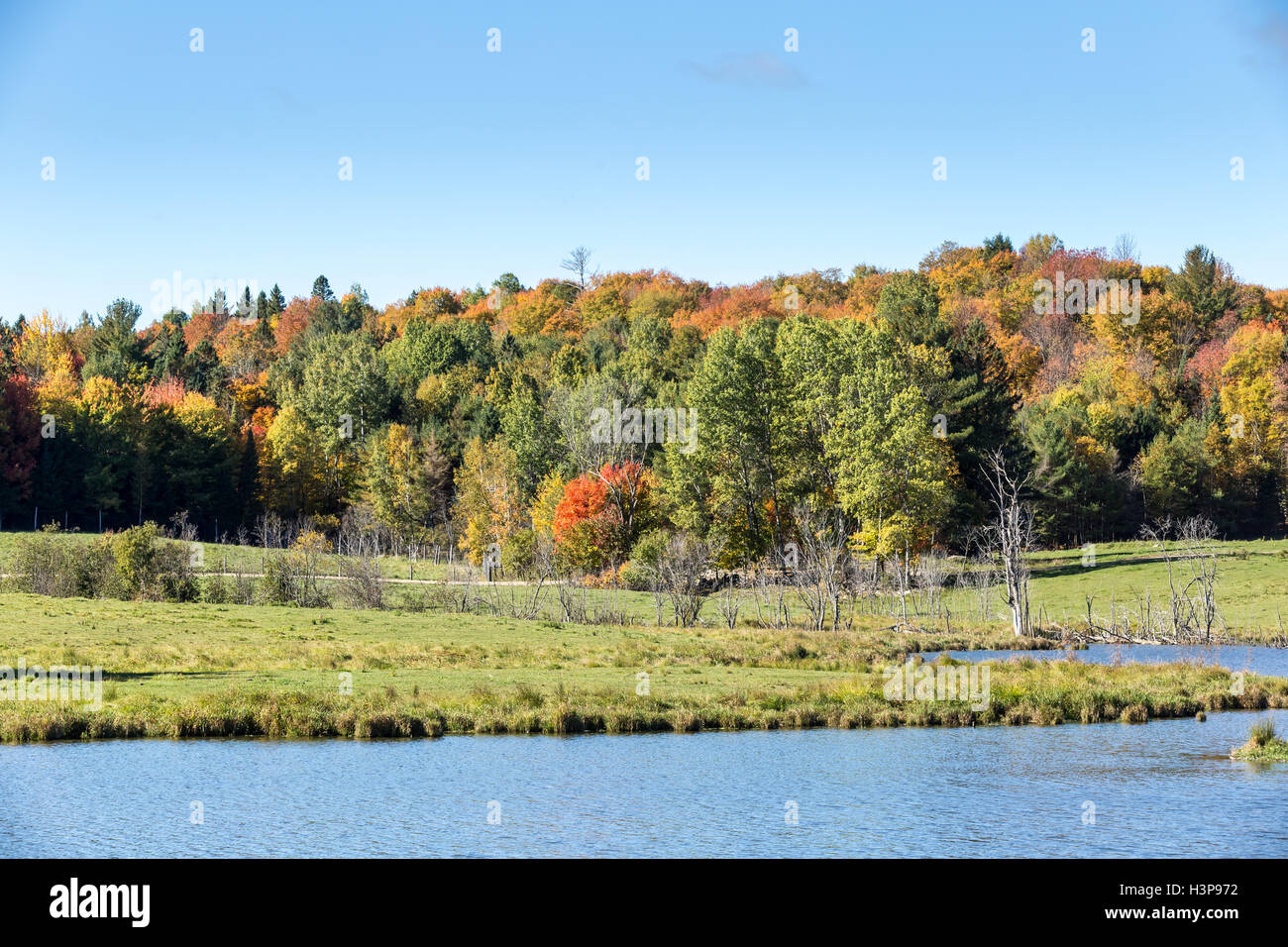 Algonquin Provincial Park in the fall season Stock Photo - Alamy