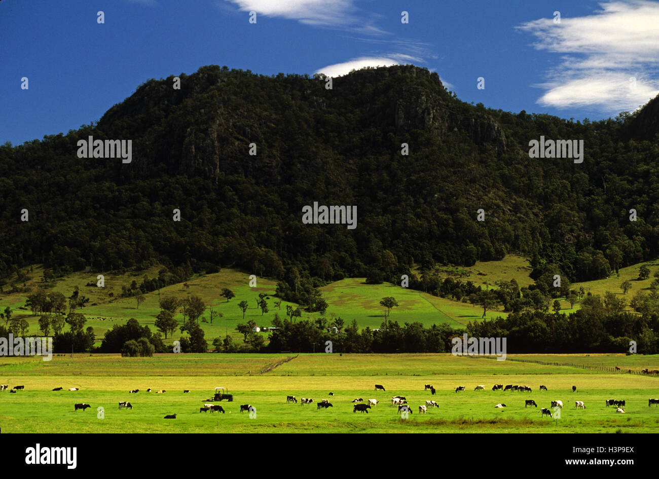 Forested scene hi-res stock photography and images - Alamy