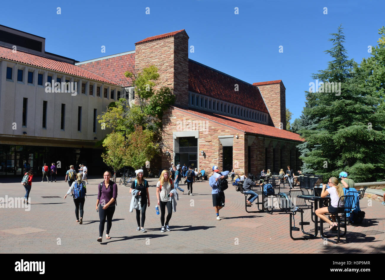 Outside library hi-res stock photography and images - Alamy