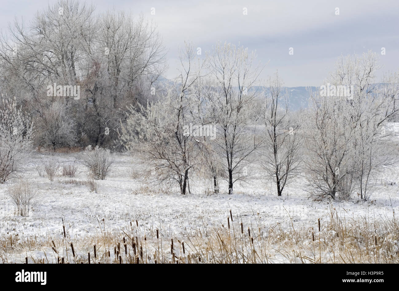 Gunbarrel is a census district comprised partly of Boulder city and ...