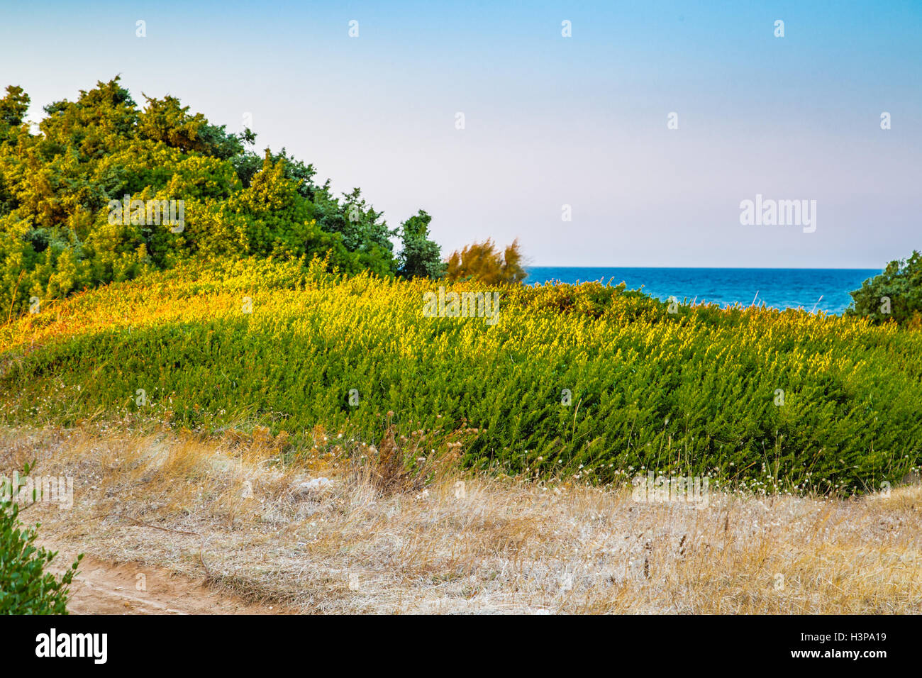 Rocky beach in italy hi-res stock photography and images - Alamy