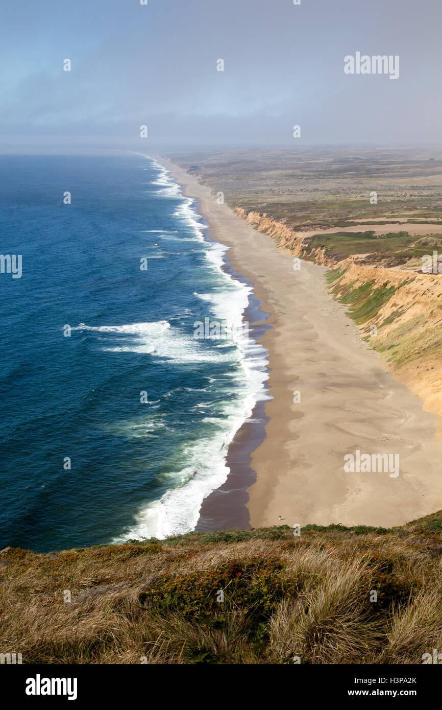 Point reyes beach hi-res stock photography and images - Alamy