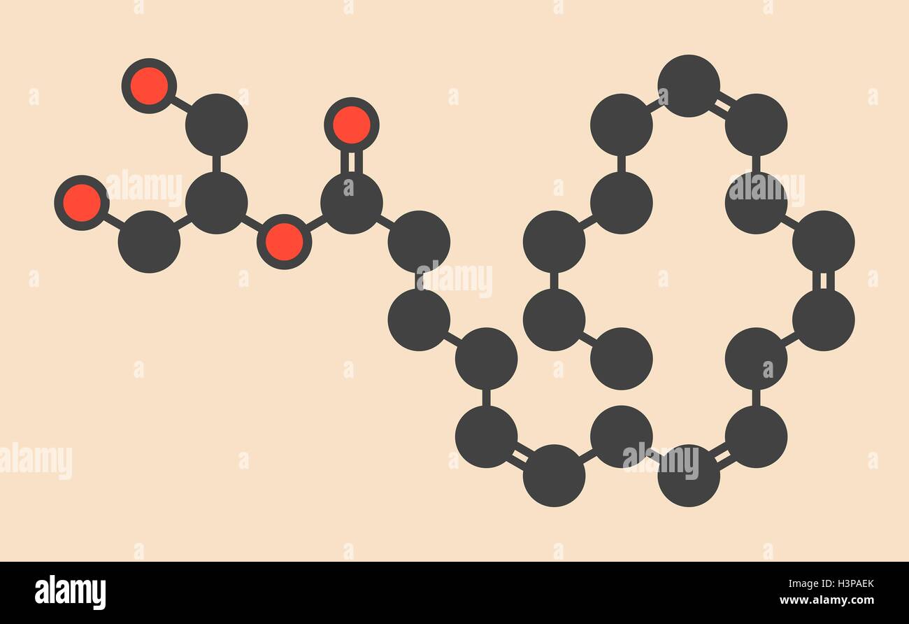 2-Arachidonoylglycerol (2-AG) endocannabinoid neurotransmitter molecule ...