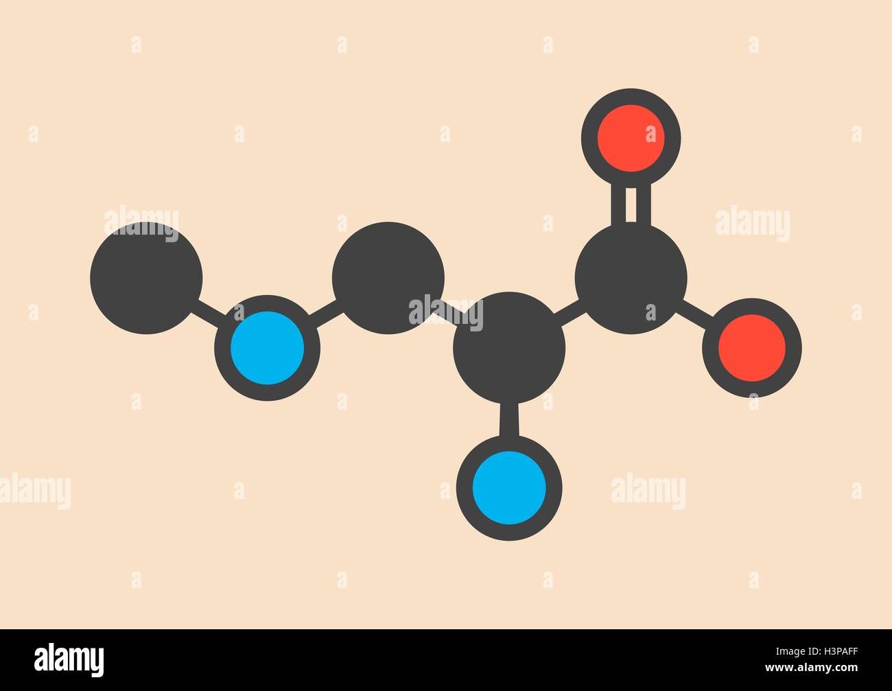 beta-Methylamino-L-alanine (BMAA) toxic amino acid molecule. Produced ...