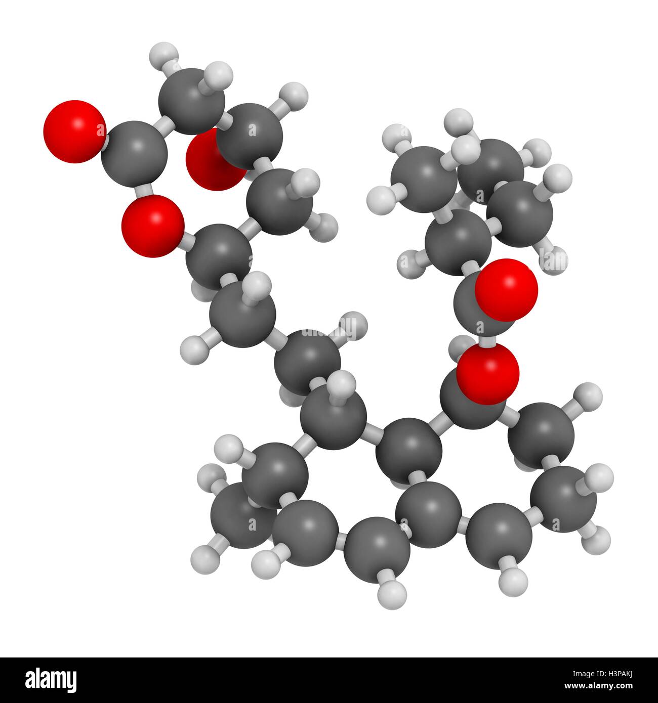 Mevastatin hypercholesterolemia drug molecule. Atoms are represented as ...