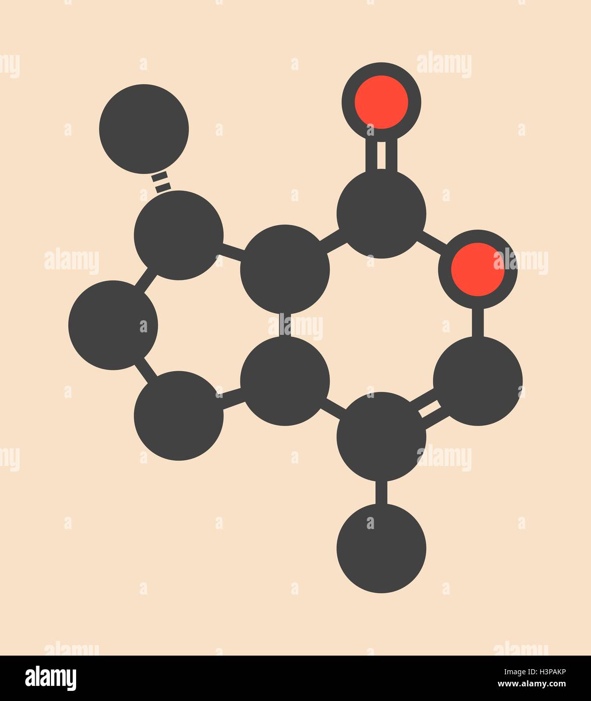 Nepetalactone catnip cat attractant molecule. Stylized skeletal formula ...