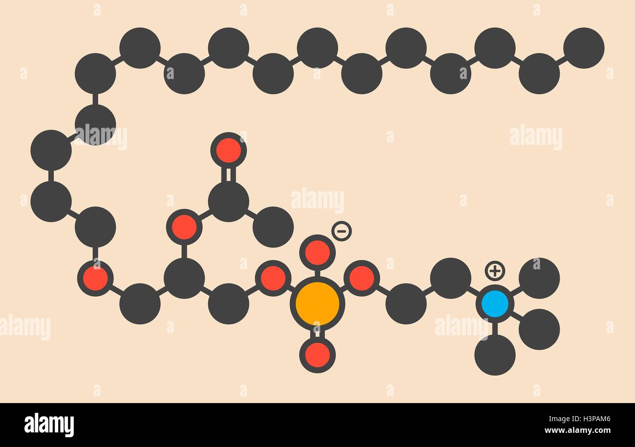 Platelet activating factor signalling molecule hi-res stock photography ...