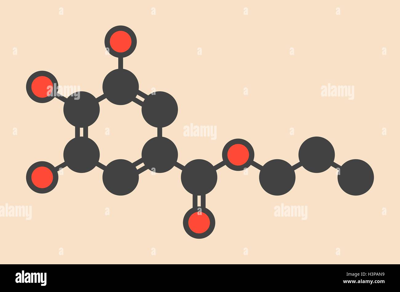 Propyl gallate antioxidant food additive molecule. Stylized skeletal ...