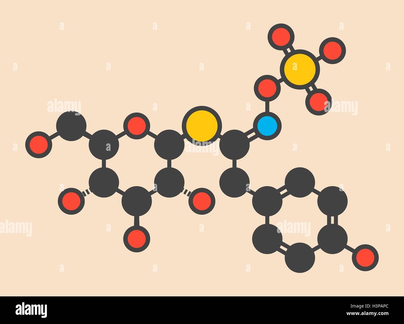 Sinalbin glucosinolate molecule. Present in seeds of white mustard ...