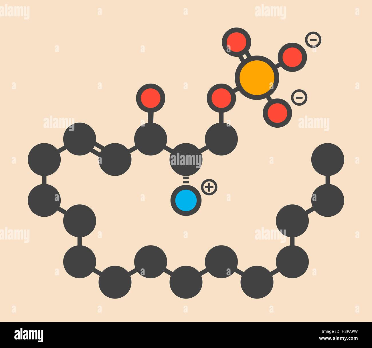 Sphingosine-1-phosphate (S1P) signalling molecule. Stylized skeletal ...