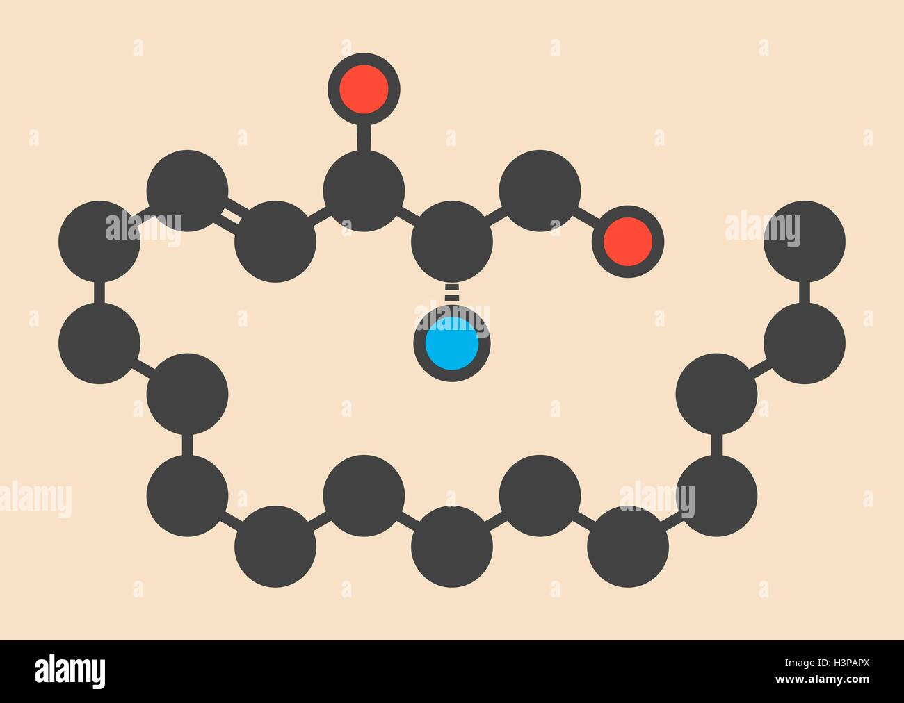 Lipid Chemical Formula