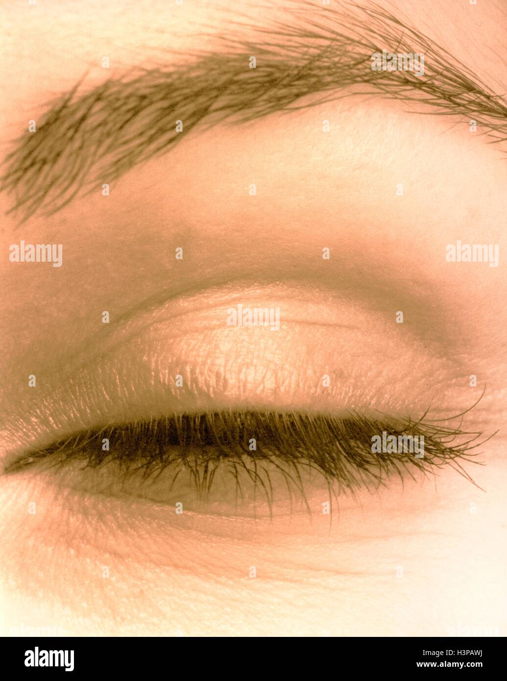 Human eye closed, close up Stock Photo - Alamy