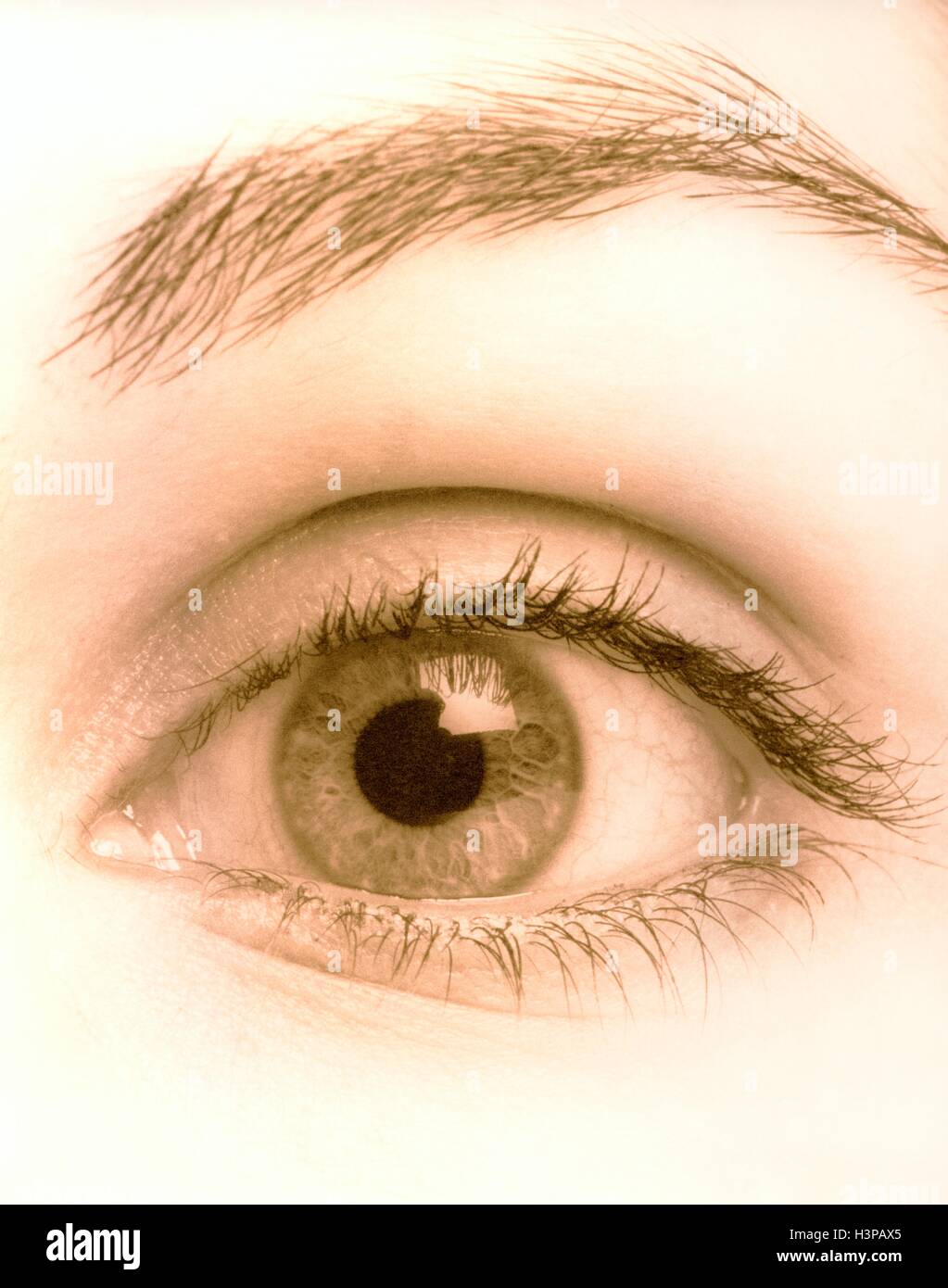 Human eye view hi-res stock photography and images - Alamy