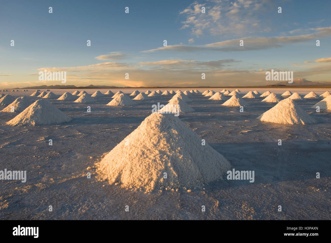 Salt cones, Salar de Uyuni at sunset, Potosi, Bolivia Stock Photo - Alamy
