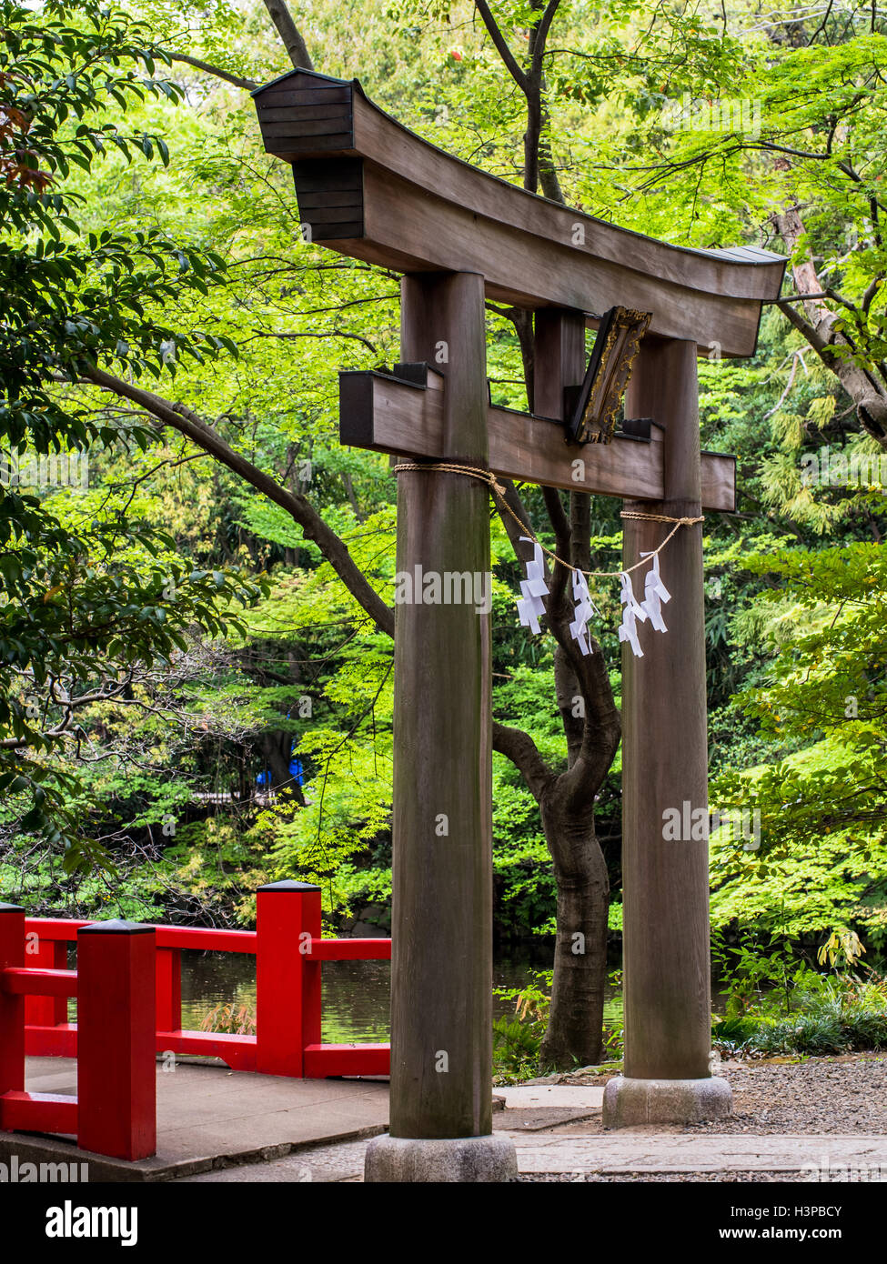 Tori with shide hi-res stock photography and images - Alamy