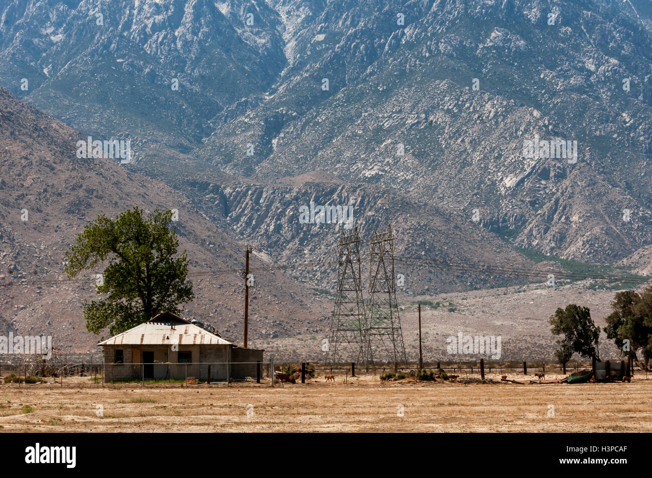 Lone house with pylons in the desert of eastern California Stock Photo ...