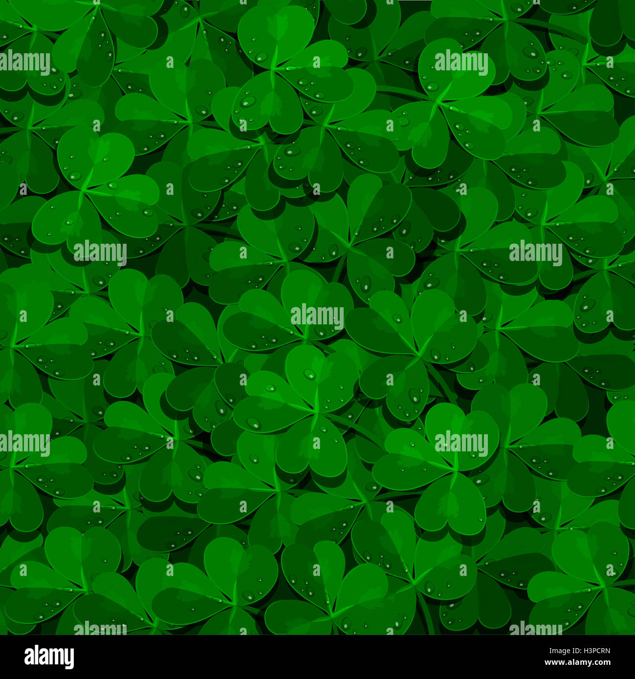 shamrock field background with dew drops. saint patrick's day realistic ...