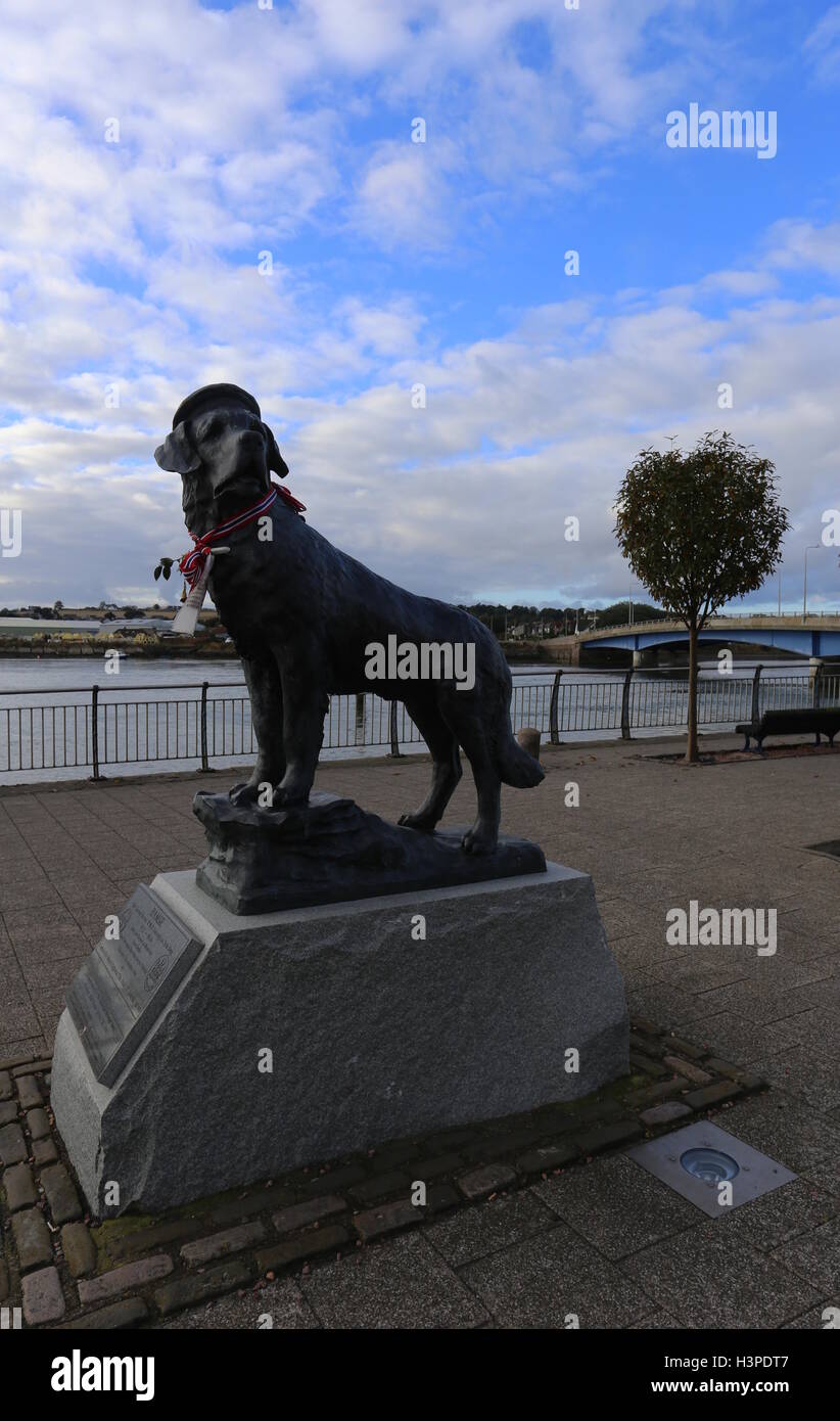 Bamse dog hi-res stock photography and images - Alamy