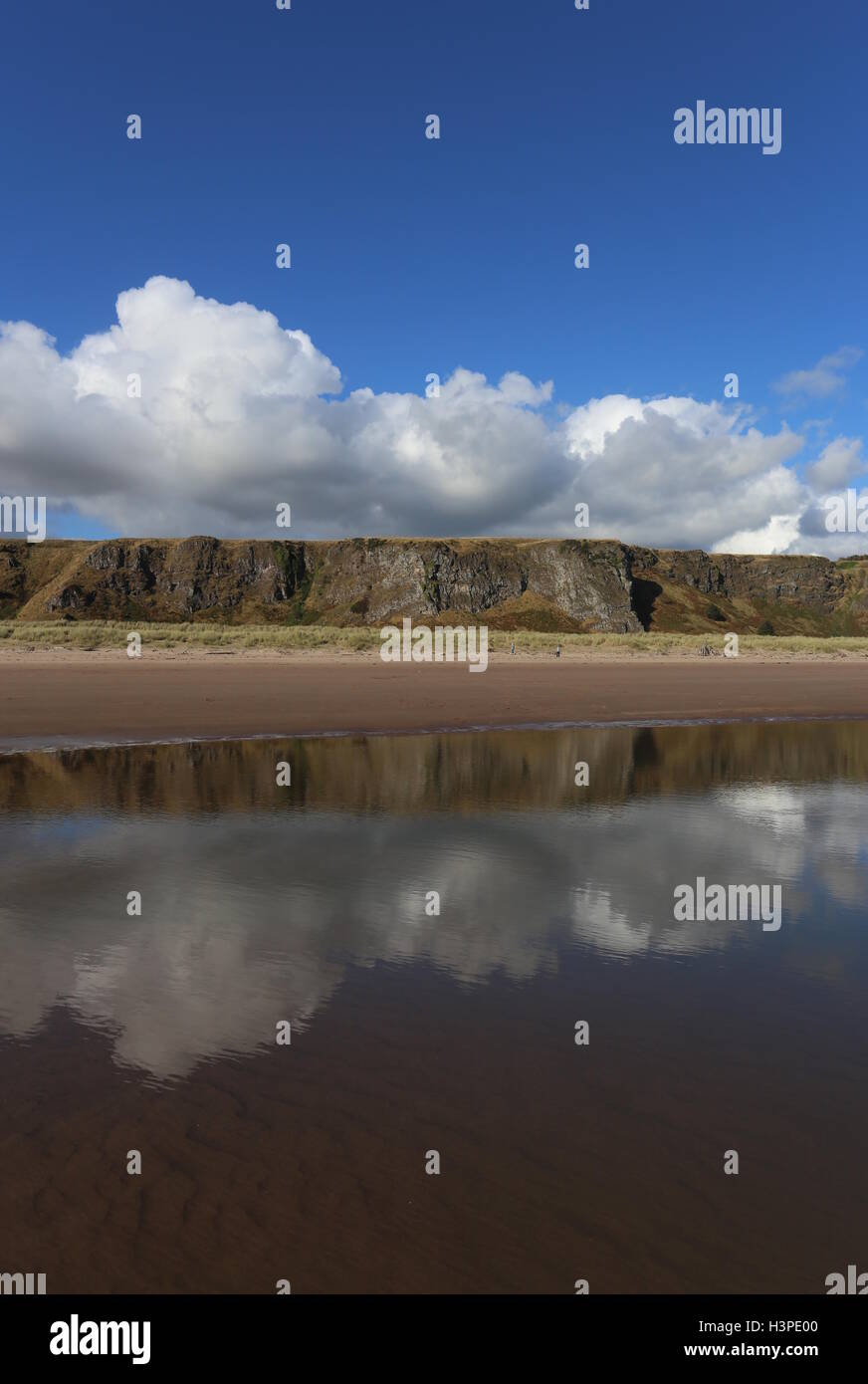 Cliffs and clouds reflected St Cyrus Nature Reserve Scotland October ...