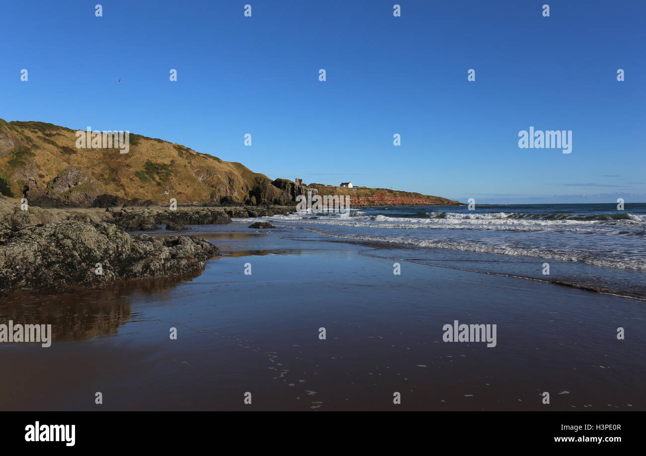Beach St Cyrus Nature Reserve Scotland October 2016 Stock Photo - Alamy