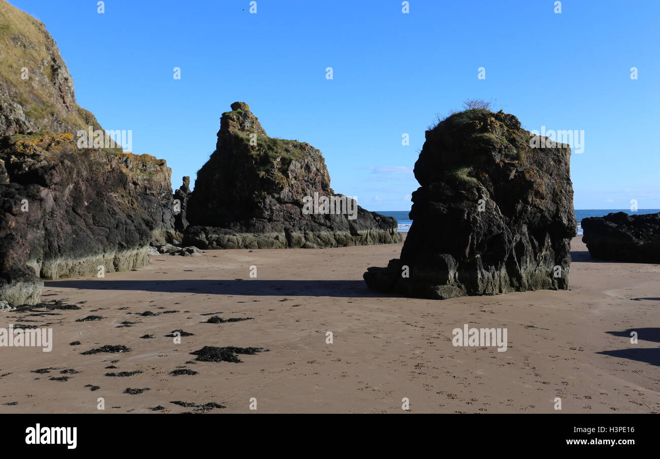 Rock formations St Cyrus Nature Reserve beach Scotland October 2016 ...