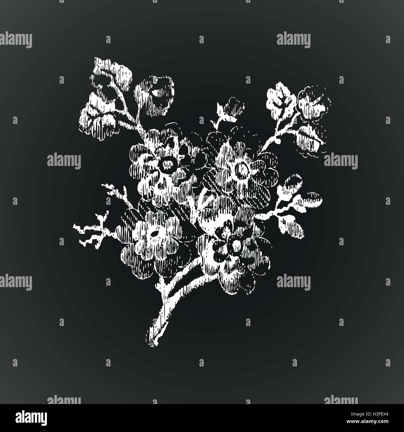 Hand drawn twig with flowers, vintage isolated on black background ...