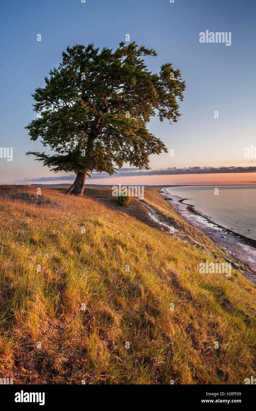 Scania nature hi-res stock photography and images - Alamy