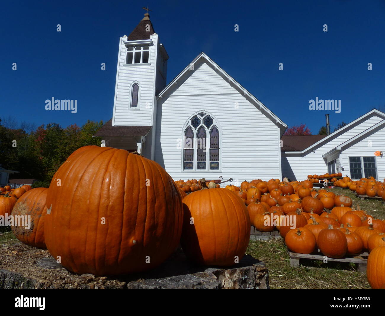 Pumpkin sale by Christian church Stock Photo - Alamy