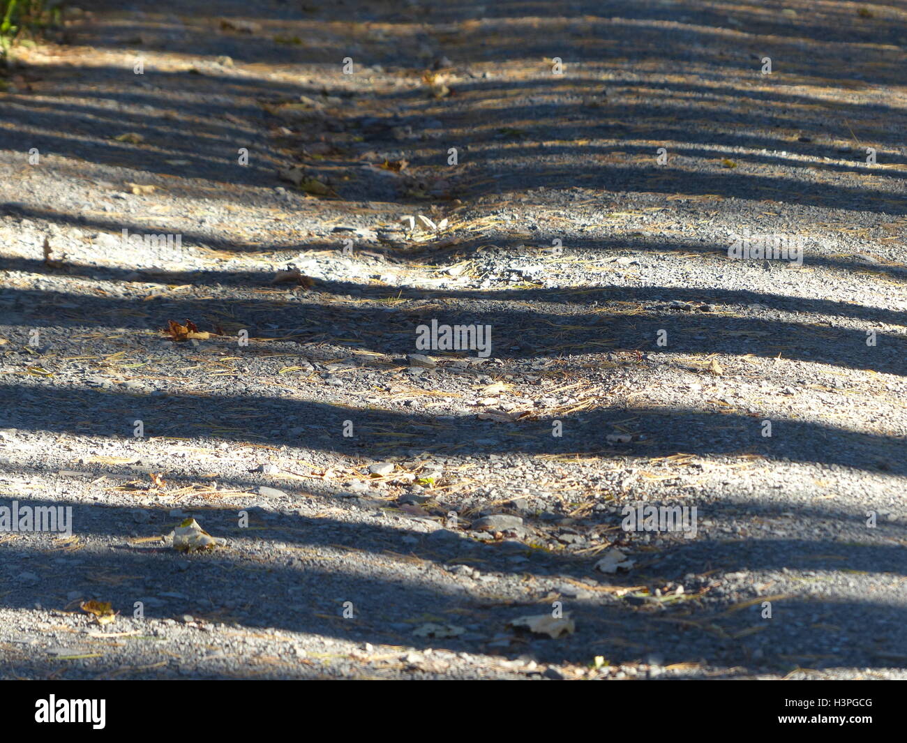 Shadows over dirt road hi-res stock photography and images - Alamy