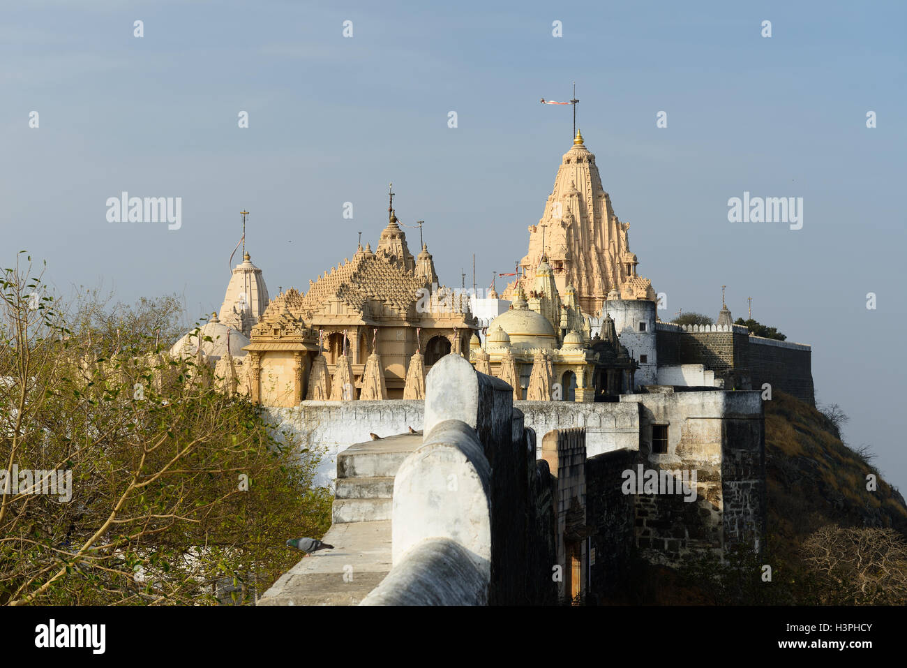 Jain temples on the holy Palitana top in the Gujarat state in India ...